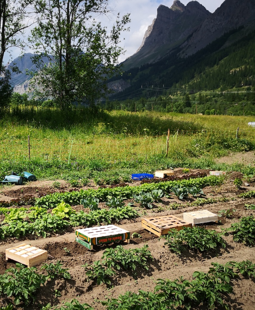 Du côté du potager du Rebanchon... - Hôtel - Gîte de Montagne - Le ...